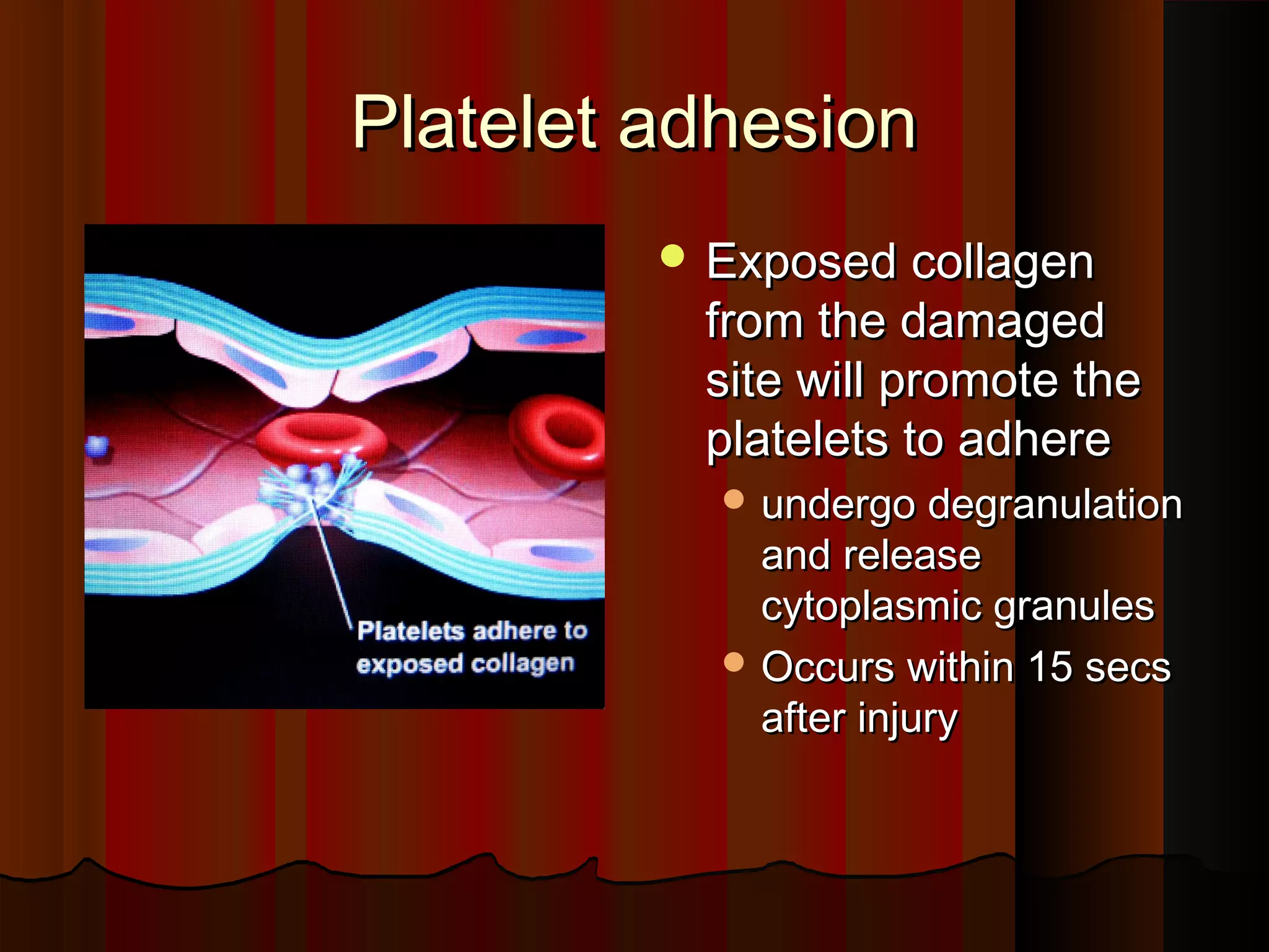 bleedig & clotting disorders | PPT