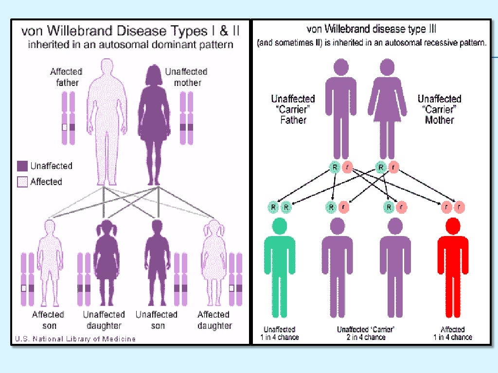 5. bleeding disorder