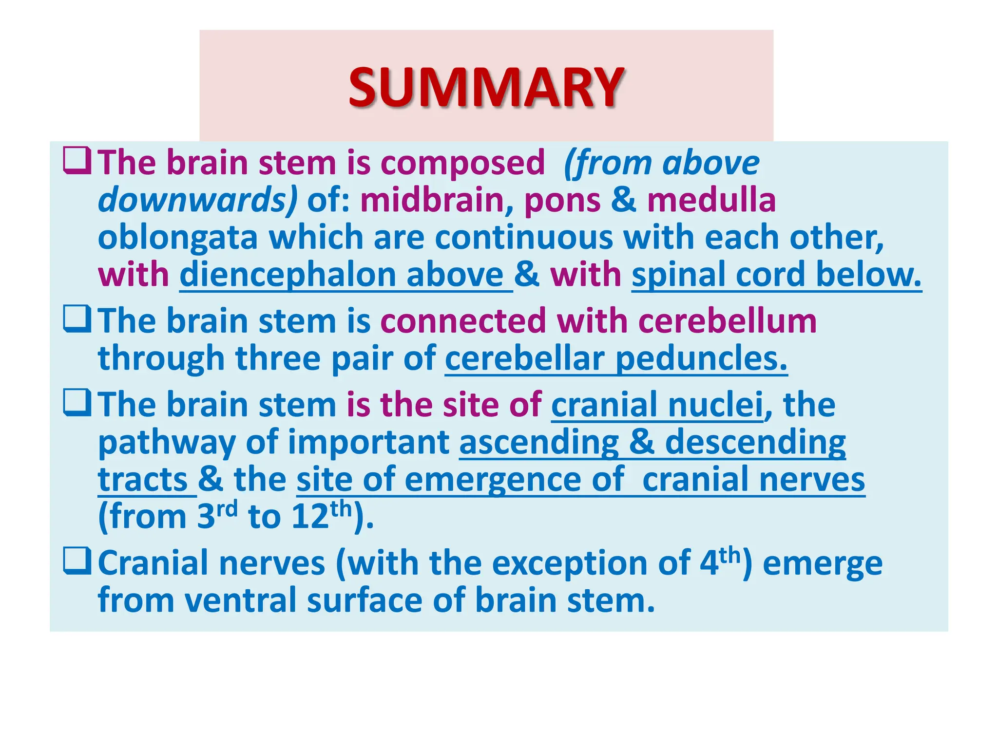 5- Brain stem-External Features.with clinical anatomyppt | PPT
