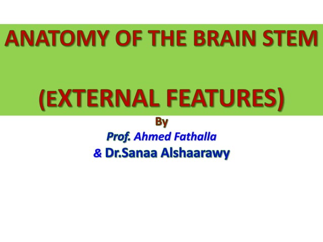 5- Brain stem-External Features.with clinical anatomyppt | PPT