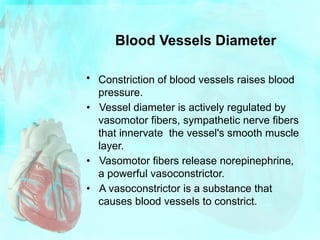 Cardiac vascular physiology ppt cardiology | PPTX