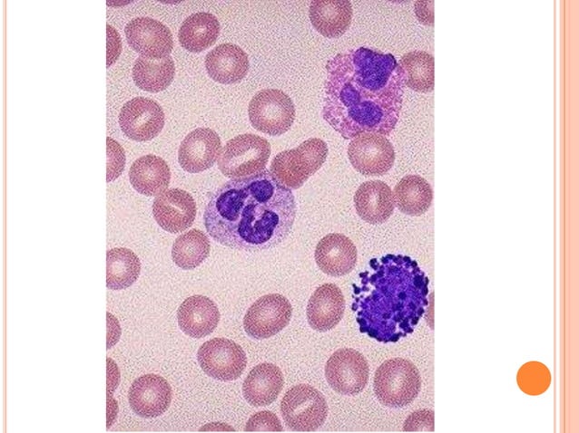 5. Cellular Aberration | PPT | Free Download