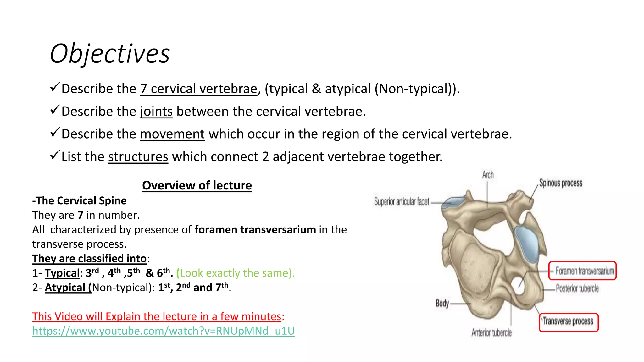 5-Cervical Spine.pdf