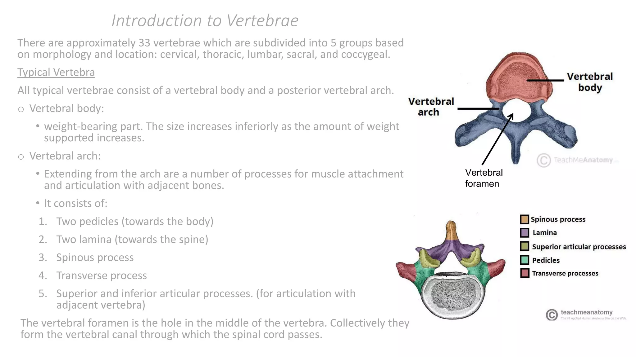 5-Cervical Spine.pdf