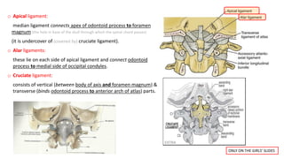 5-Cervical Spine.pdf