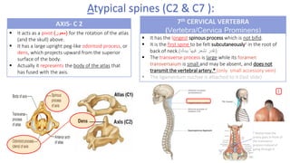 5-Cervical Spine.pdf