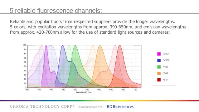 5-Channel Fluorescence Imaging