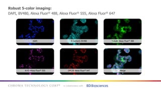 5-CHANNEL FLUORESCENCE IMAGING SIMPLIFIED - Reliable Multiplexing for ...