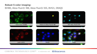 5-CHANNEL FLUORESCENCE IMAGING SIMPLIFIED - Reliable Multiplexing for ...