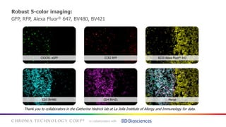 5-CHANNEL FLUORESCENCE IMAGING SIMPLIFIED - Reliable Multiplexing for ...