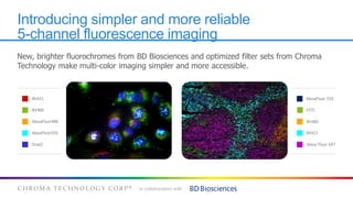 5-CHANNEL FLUORESCENCE IMAGING SIMPLIFIED - Reliable Multiplexing for ...