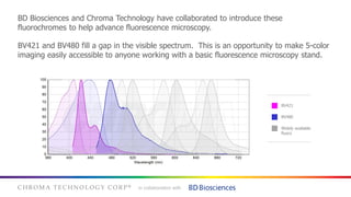5-CHANNEL FLUORESCENCE IMAGING SIMPLIFIED - Reliable Multiplexing for ...