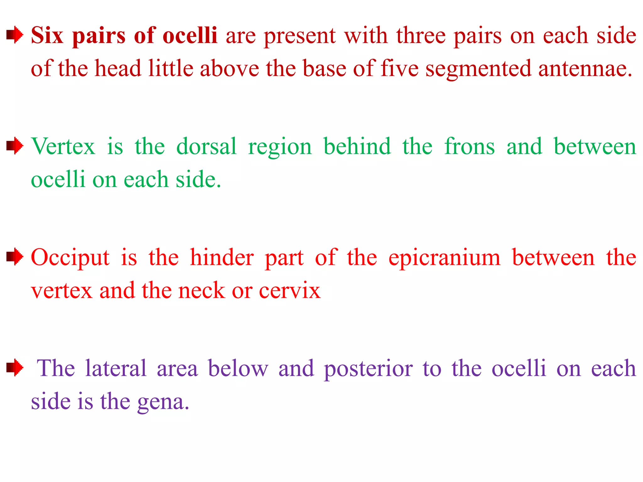 5 chapter morphology and anatomy of sw sps. commercially exploited ...