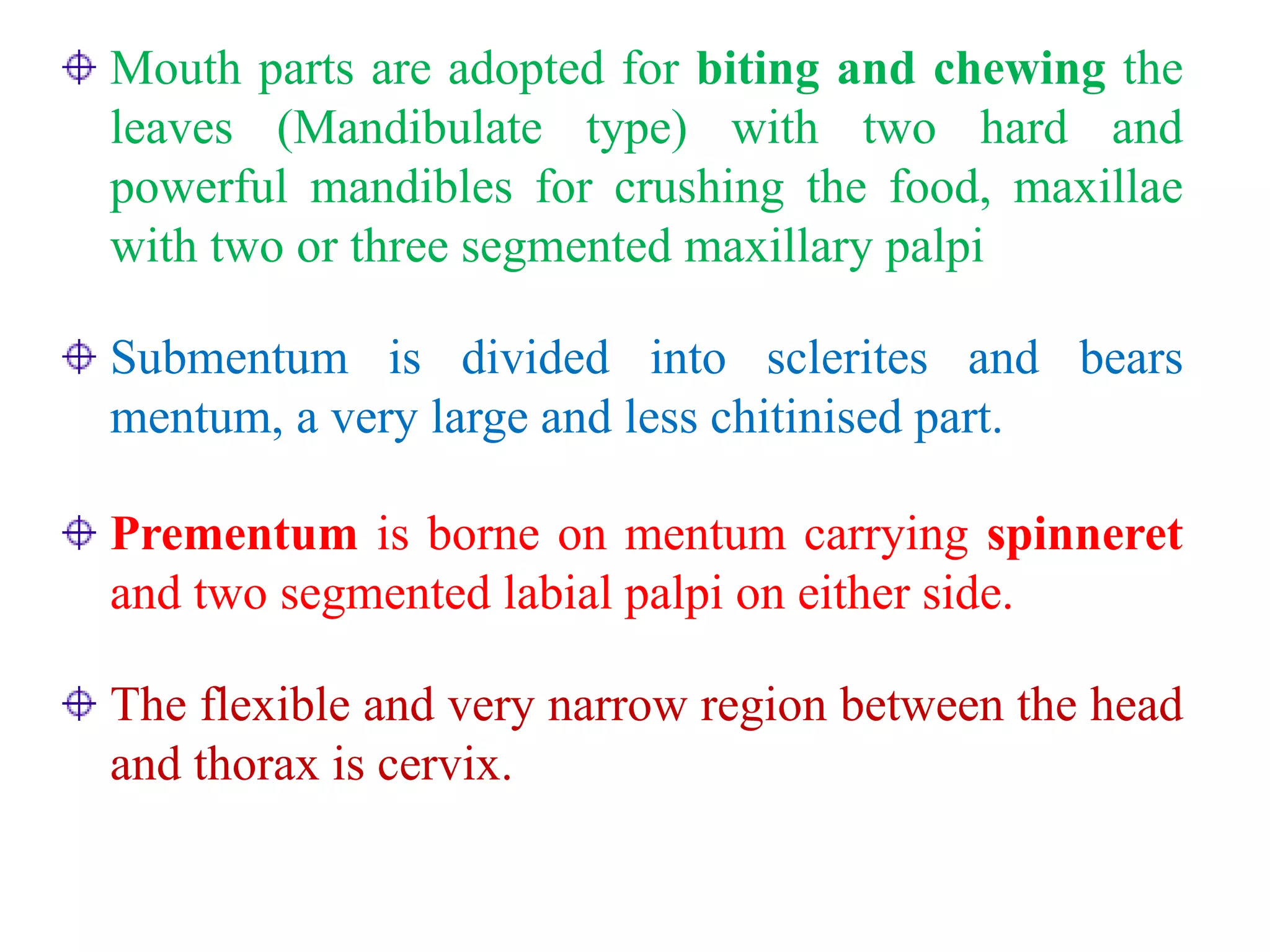 5 chapter morphology and anatomy of sw sps. commercially exploited ...