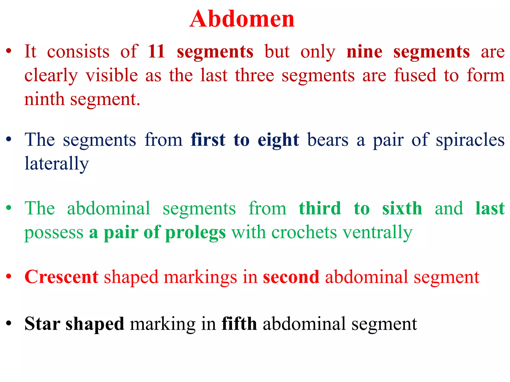 5 chapter morphology and anatomy of sw sps. commercially exploited ...