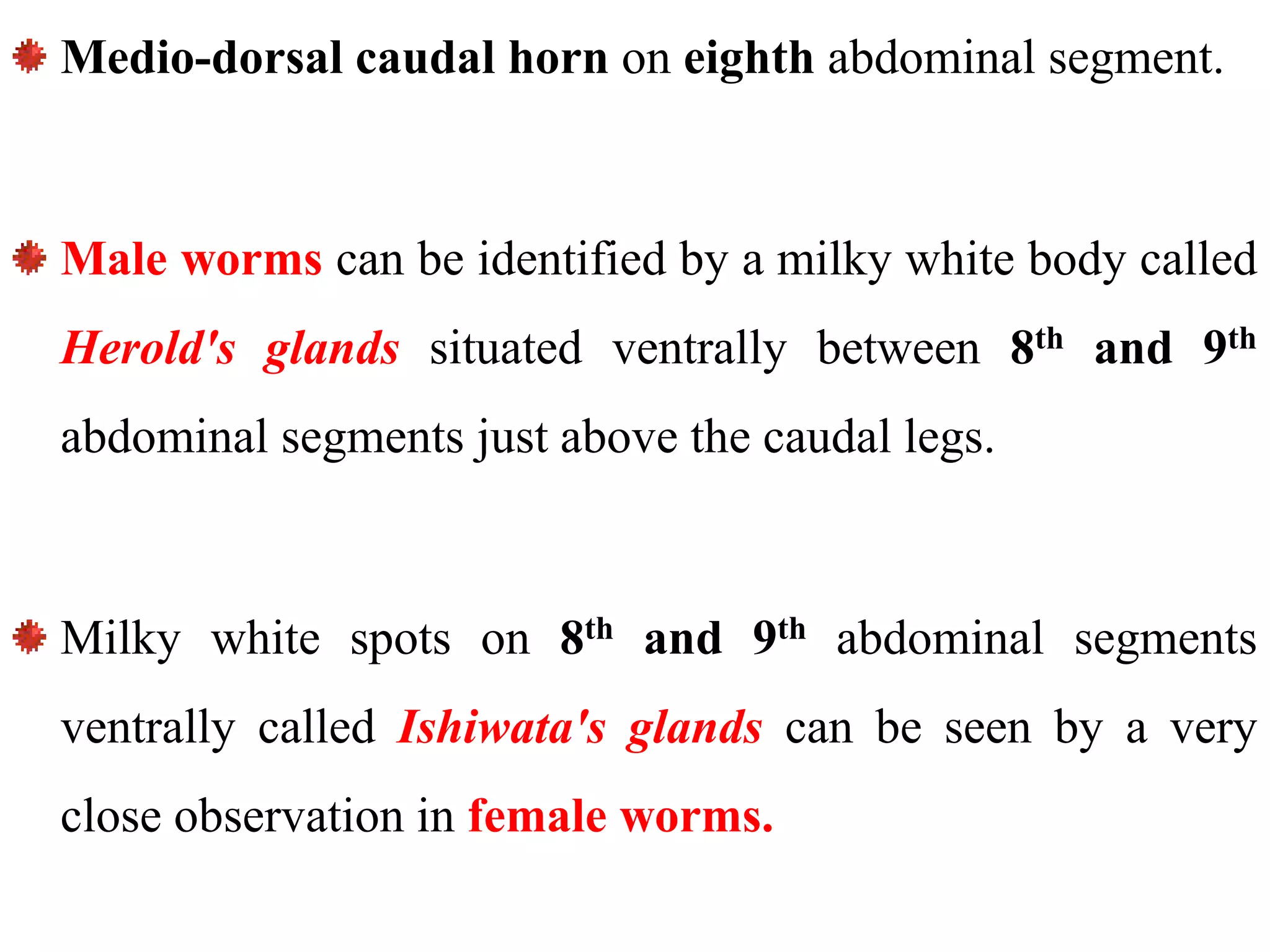 5 chapter morphology and anatomy of sw sps. commercially exploited ...