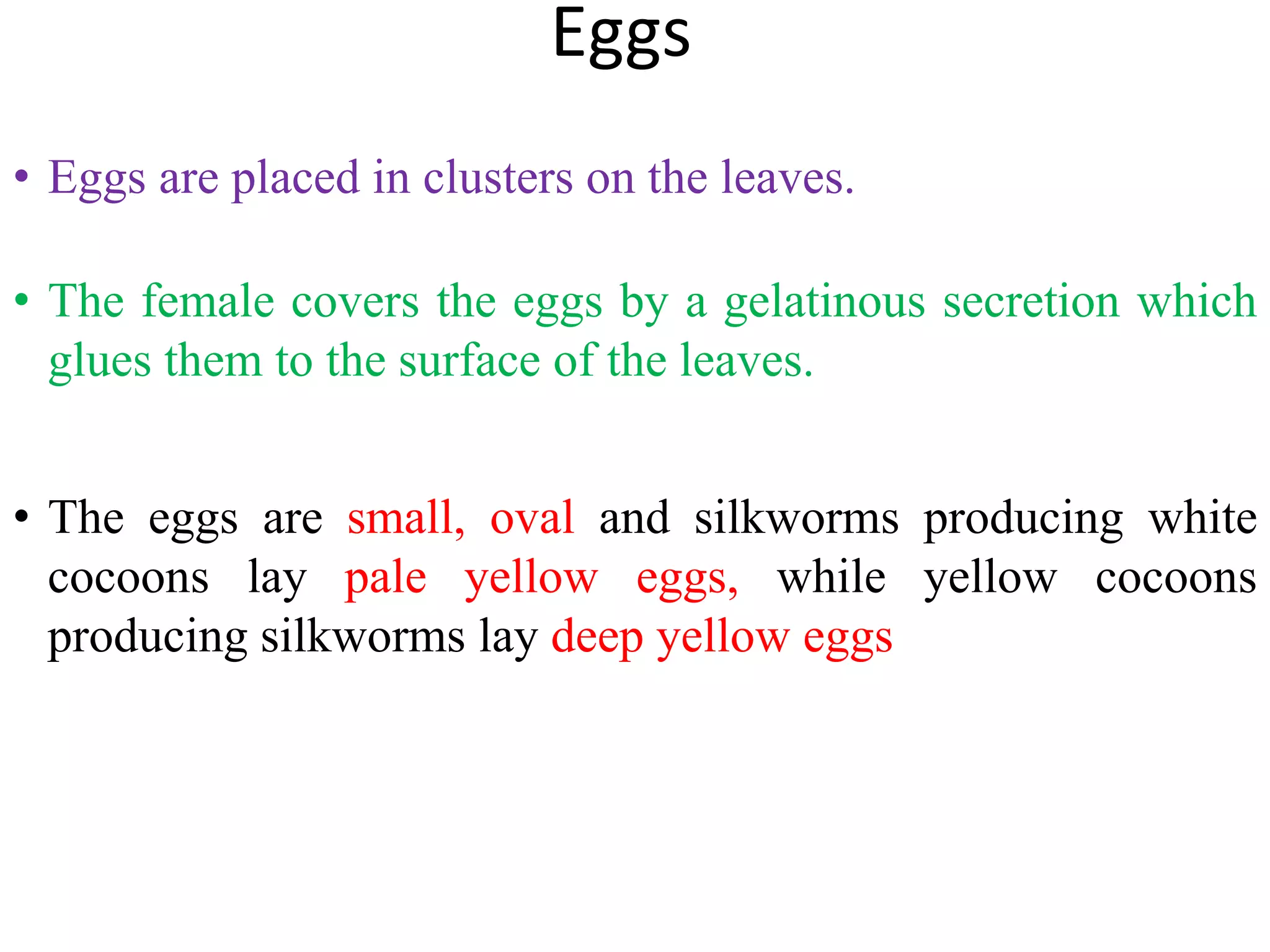 5 chapter morphology and anatomy of sw sps. commercially exploited ...
