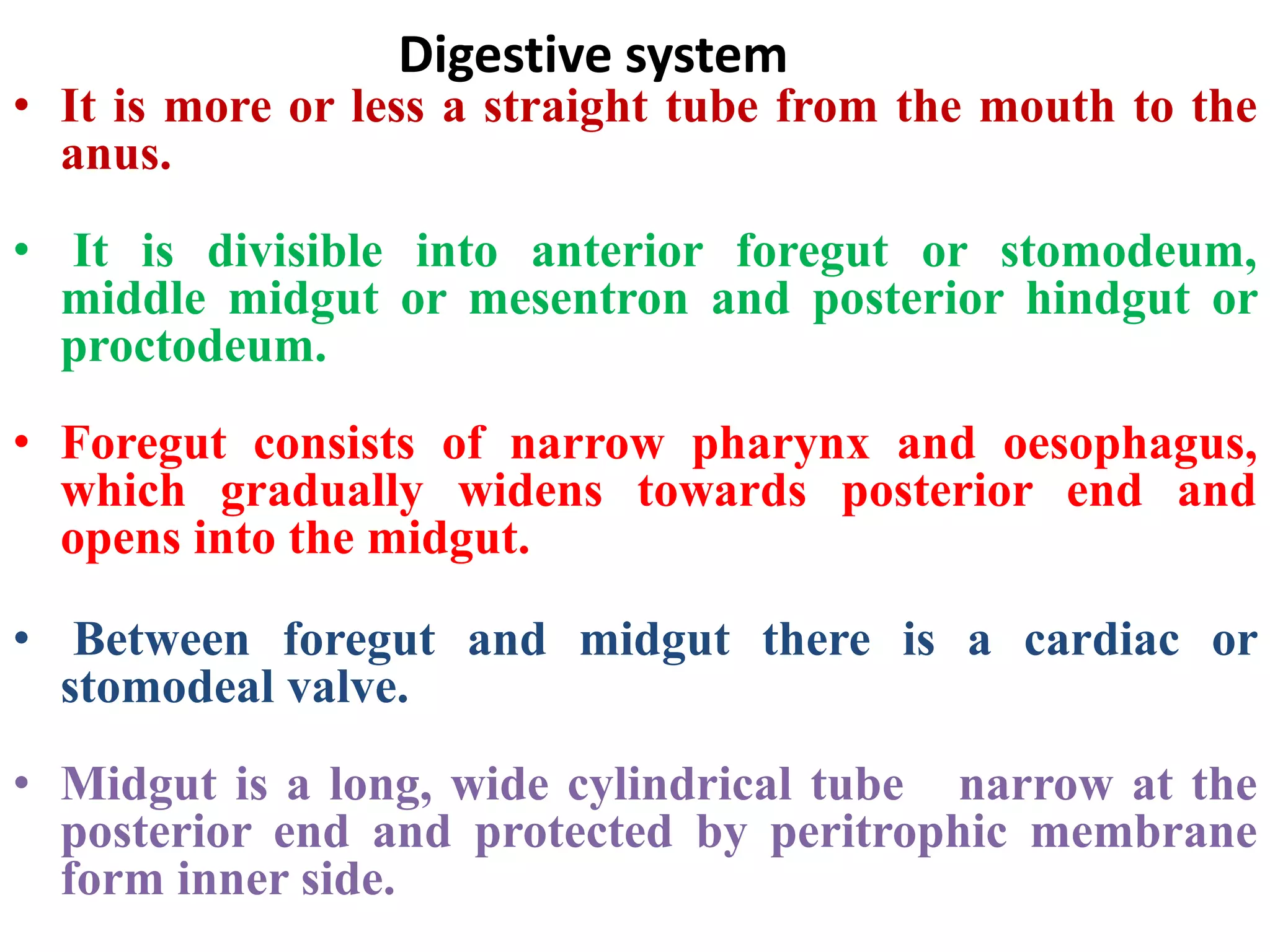 5 chapter morphology and anatomy of sw sps. commercially exploited ...