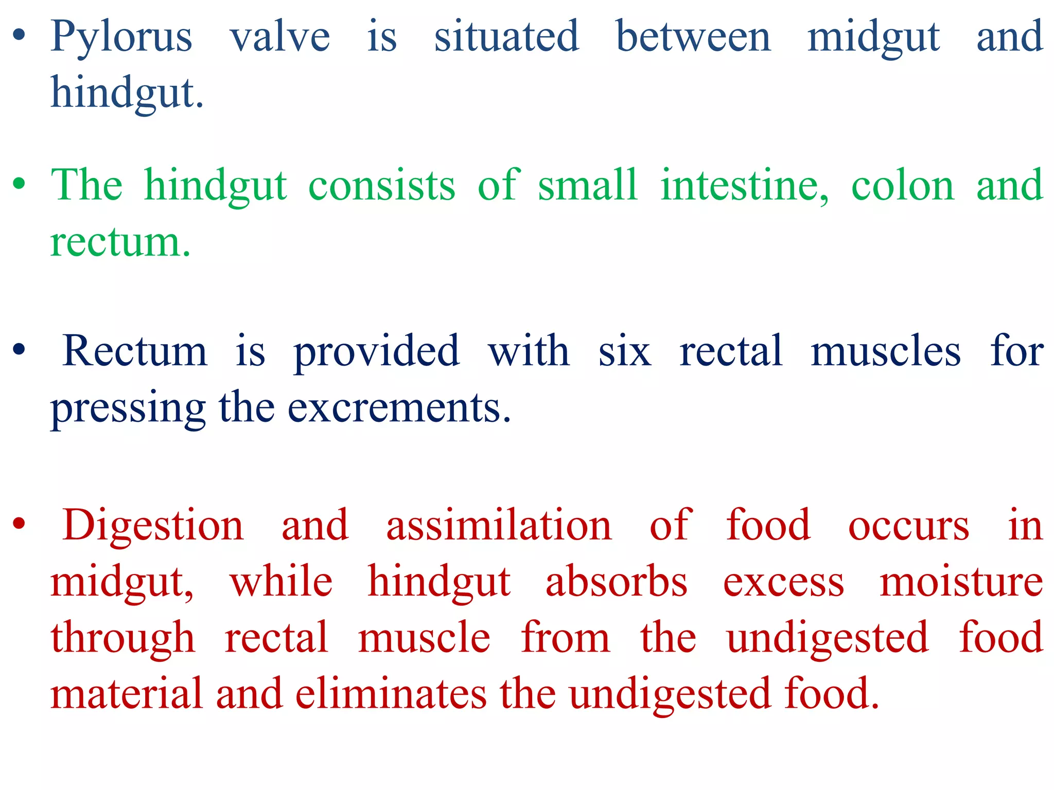 5 chapter morphology and anatomy of sw sps. commercially exploited ...