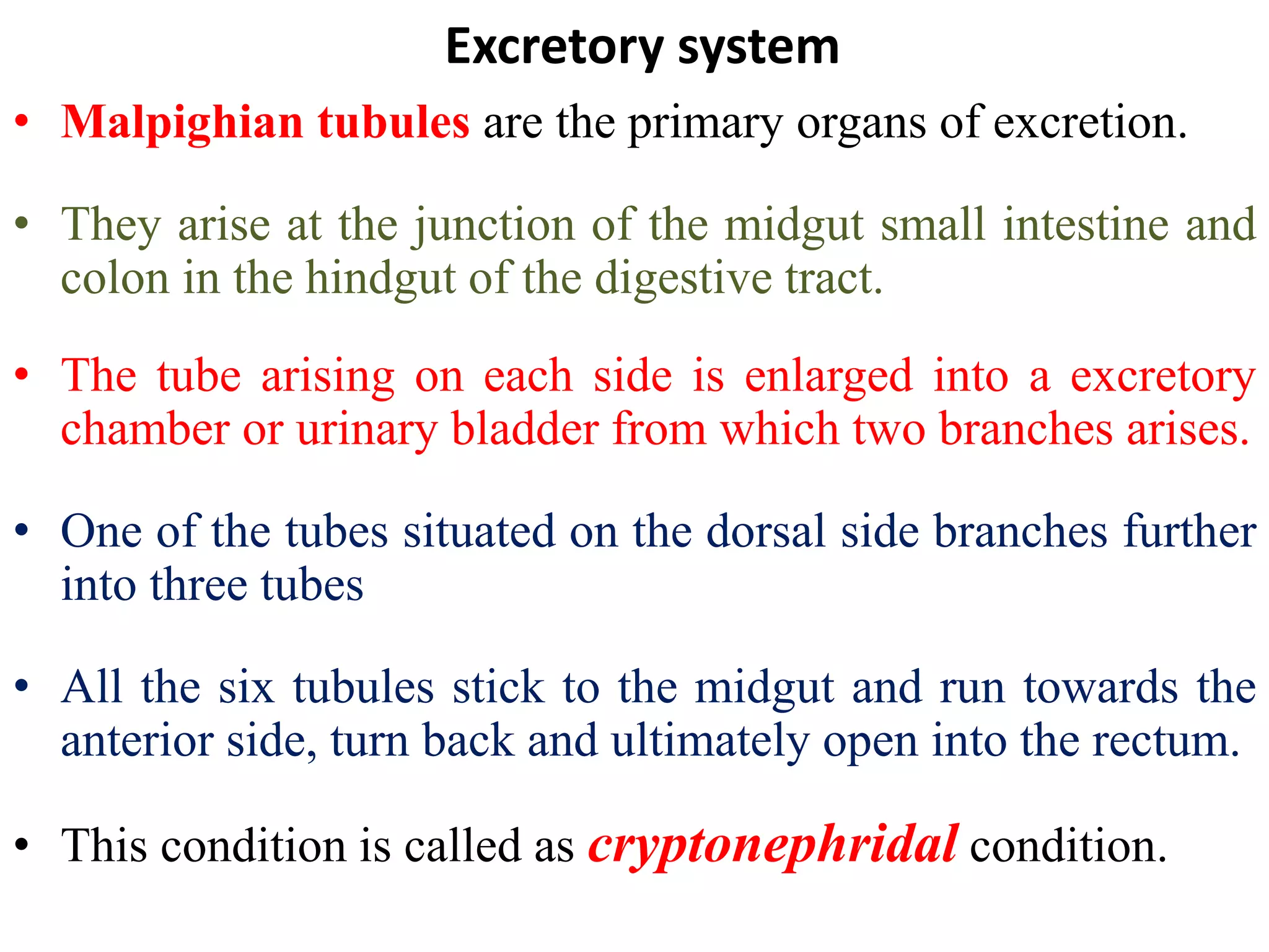 5 chapter morphology and anatomy of sw sps. commercially exploited ...