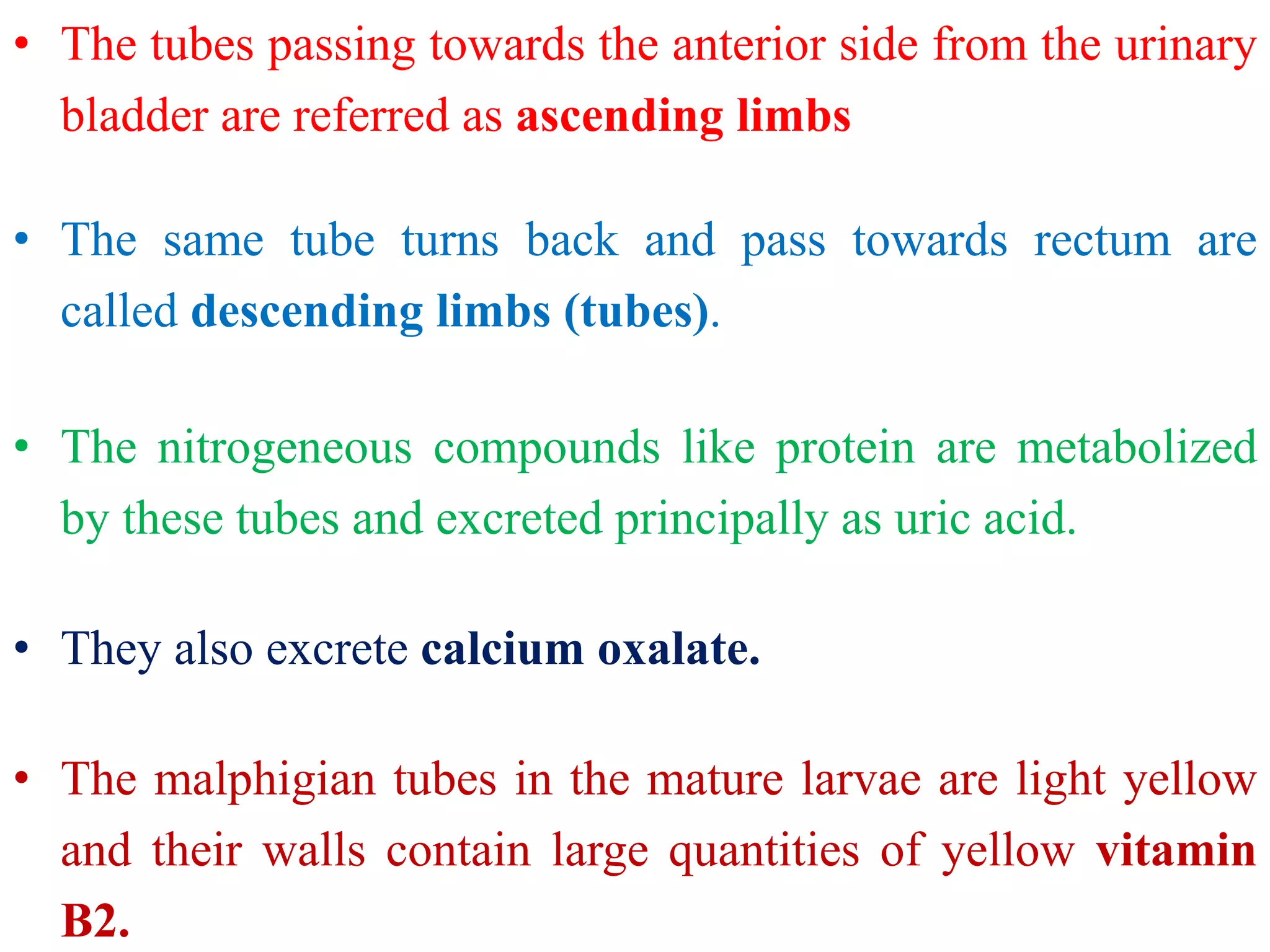5 chapter morphology and anatomy of sw sps. commercially exploited ...