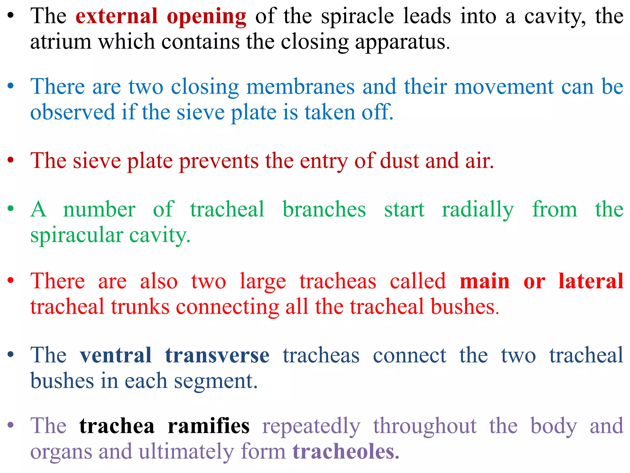 5 chapter morphology and anatomy of sw sps. commercially exploited ...