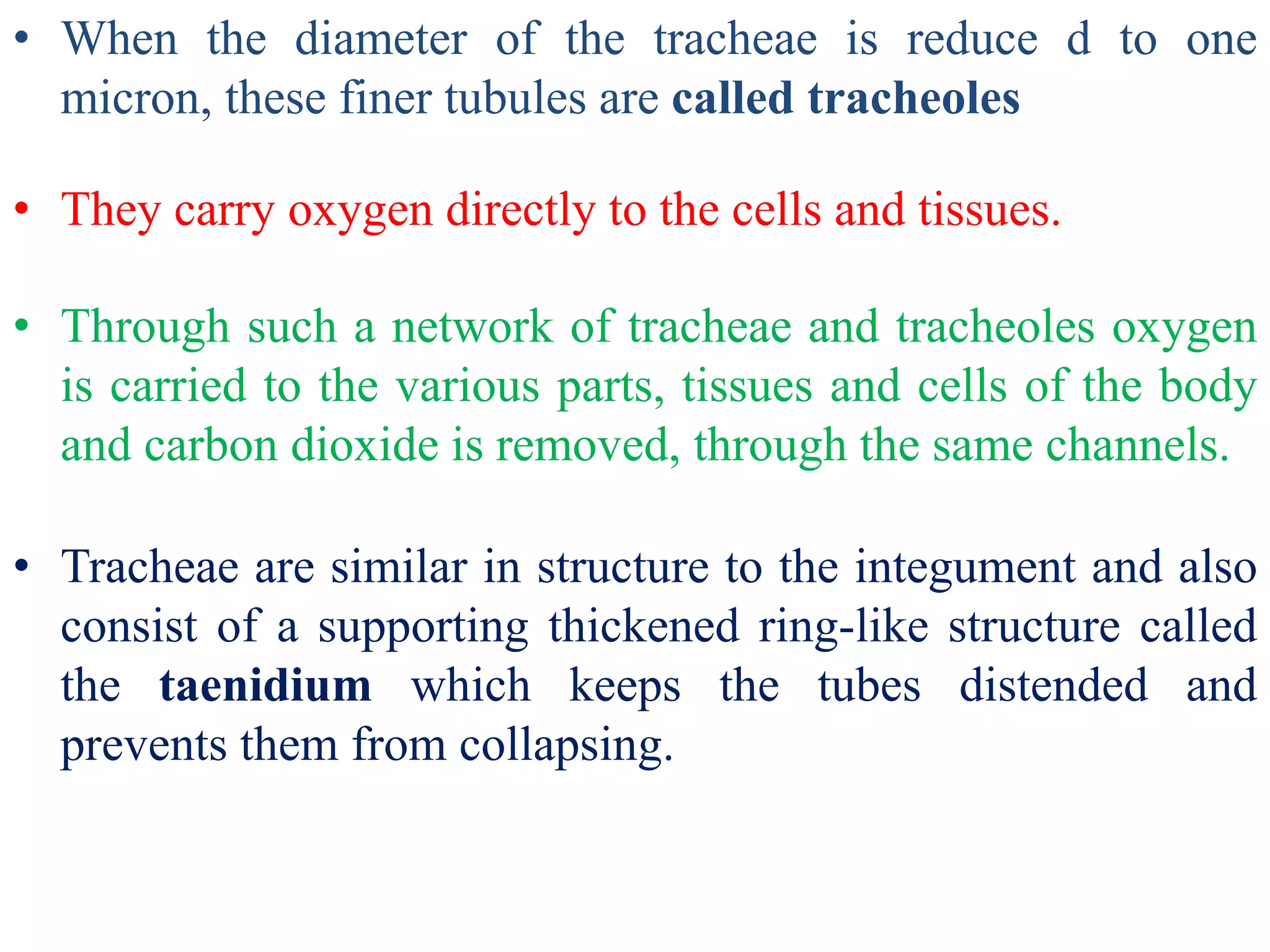 5 chapter morphology and anatomy of sw sps. commercially exploited ...