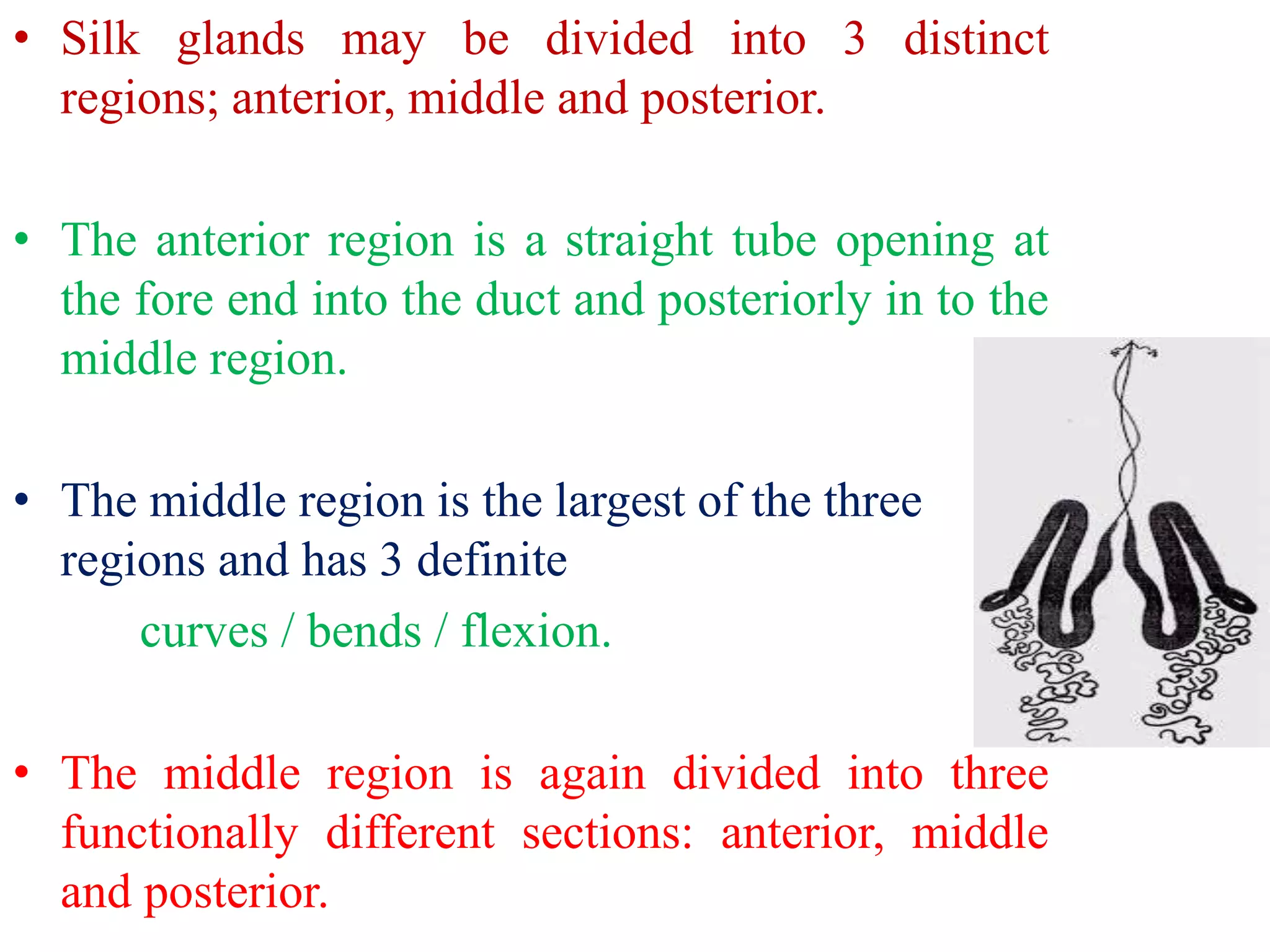 5 chapter morphology and anatomy of sw sps. commercially exploited ...