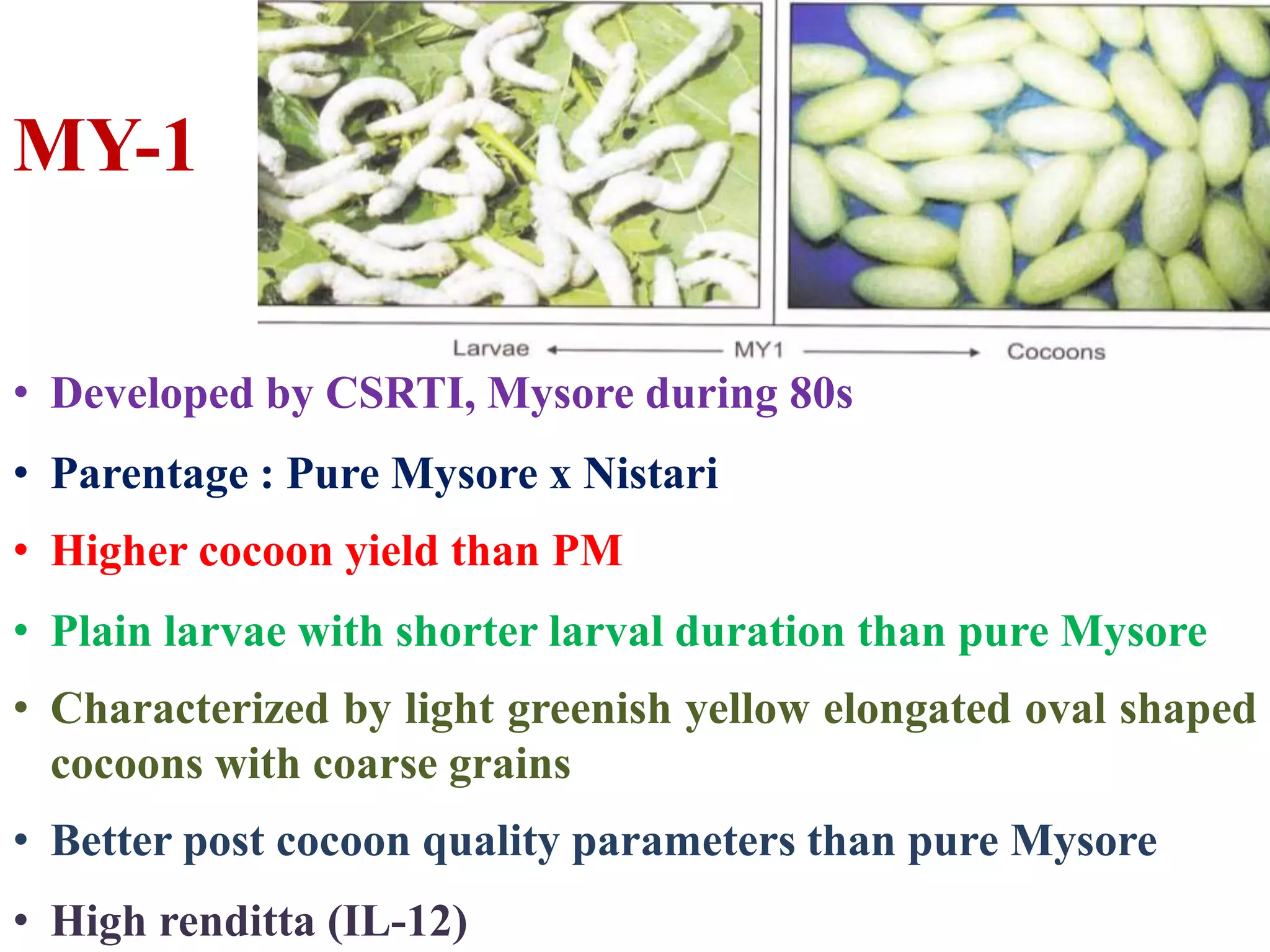 5 chapter morphology and anatomy of sw sps. commercially exploited ...