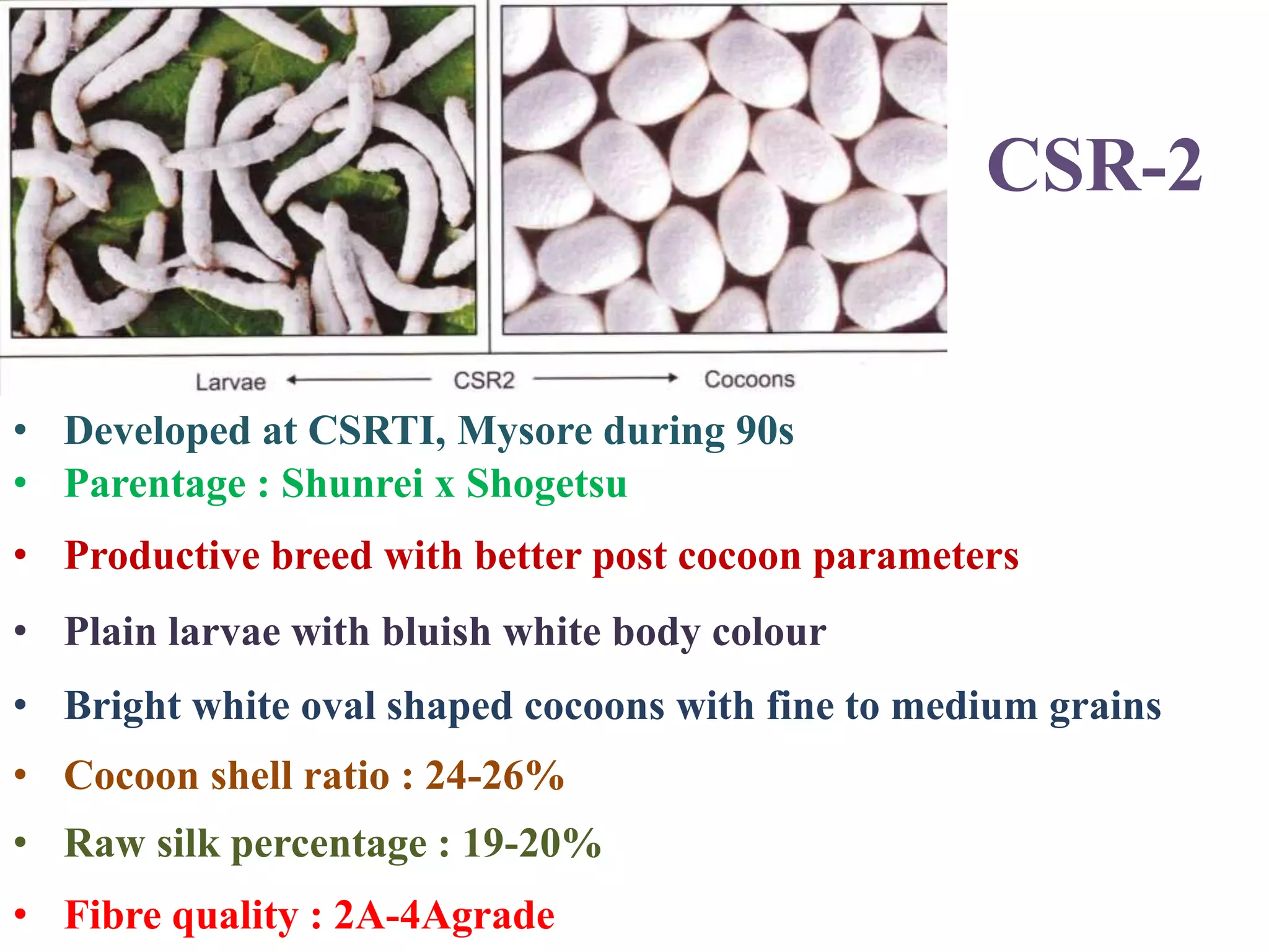 5 chapter morphology and anatomy of sw sps. commercially exploited ...