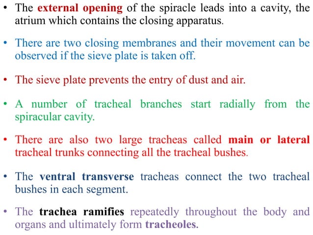 5 chapter morphology and anatomy of sw sps. commercially exploited ...