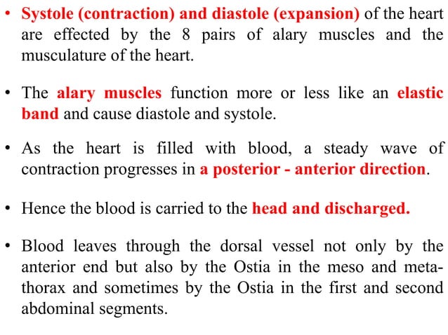5 chapter morphology and anatomy of sw sps. commercially exploited ...