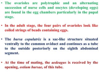 5 chapter morphology and anatomy of sw sps. commercially exploited ...