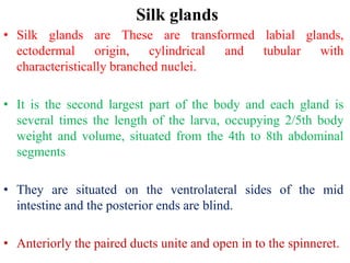 5 chapter morphology and anatomy of sw sps. commercially exploited ...