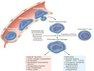 5.chronic inflammation dr ashutosh kumar | PPT