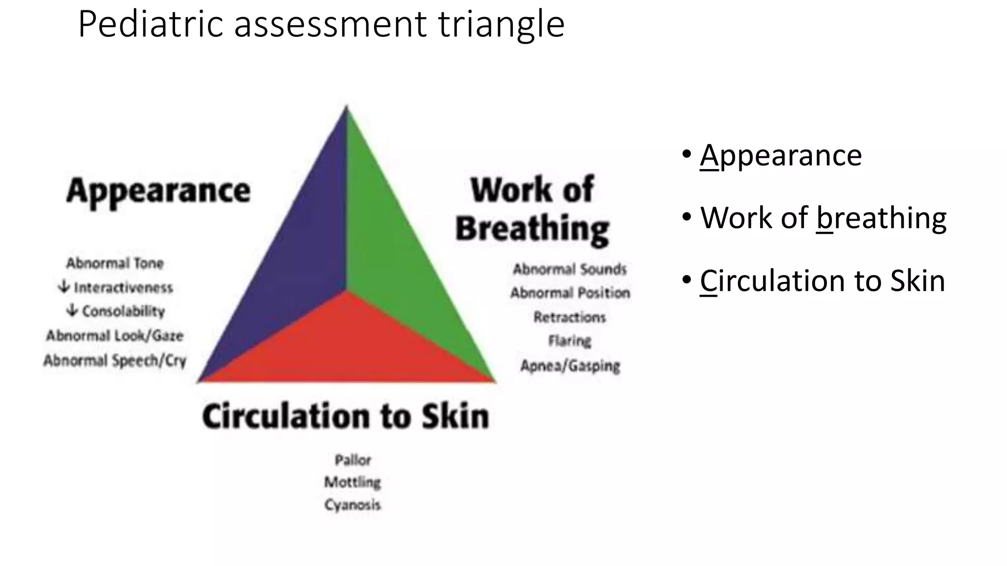 5-Circulation(1).pptx