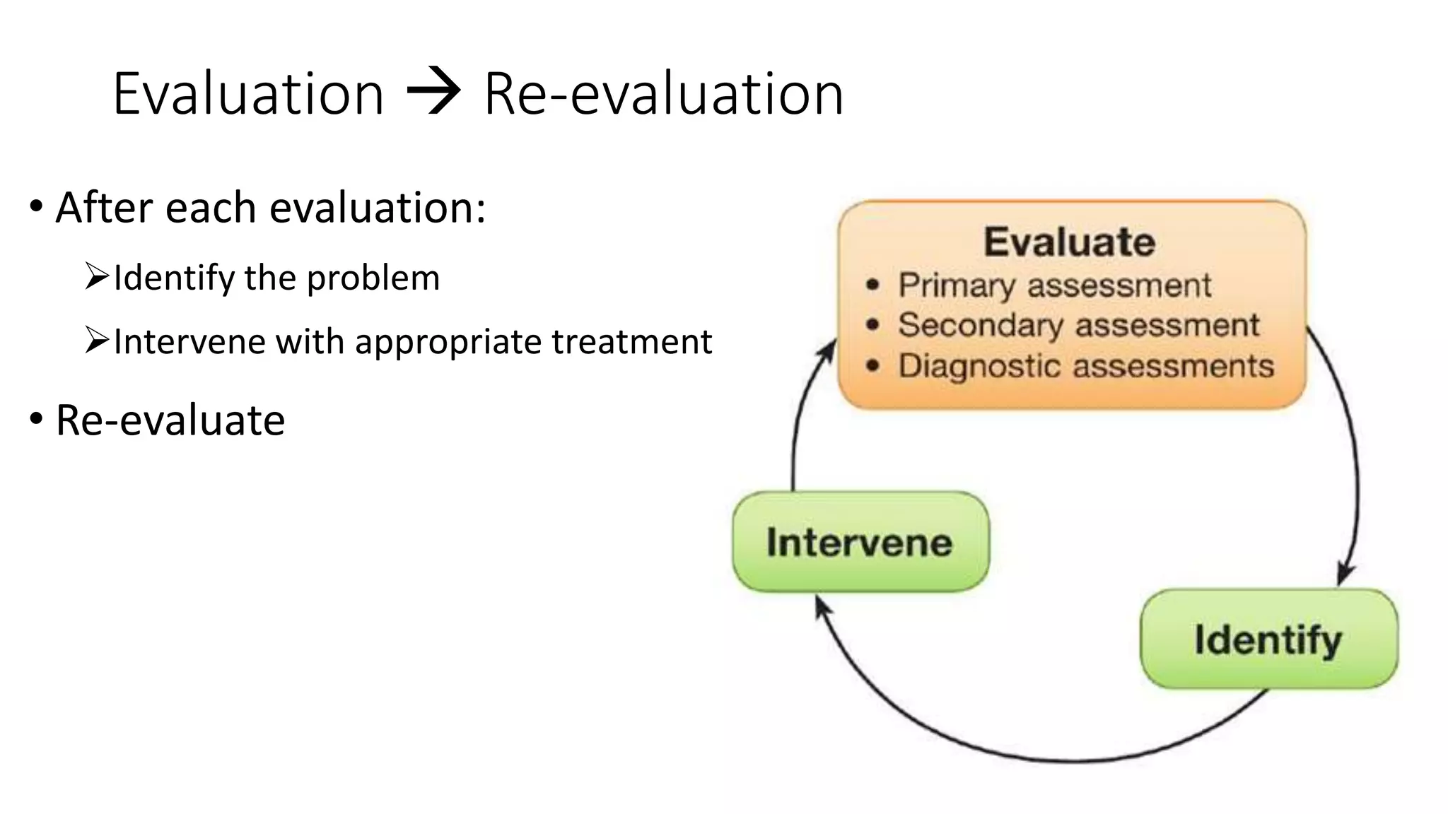 5-Circulation(1).pptx