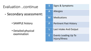 5-Circulation(1).pptx