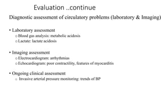 5-Circulation(1).pptx