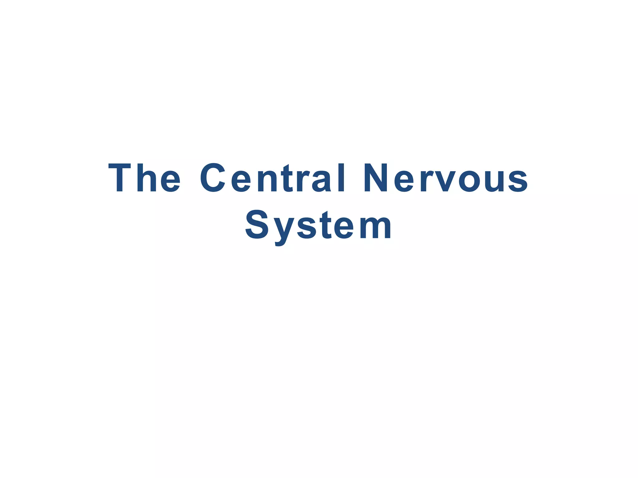 5. cns 1 | PPT