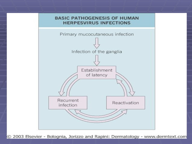 Dermatology - common skin infections by Dr. Eman | PPT