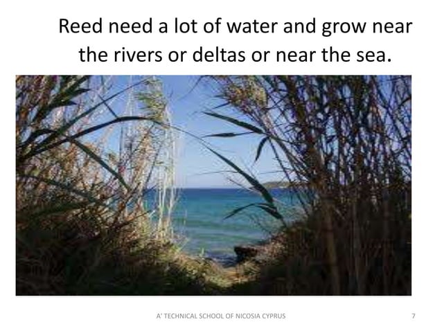 5.cyprus traditional musical organs1 | PPT