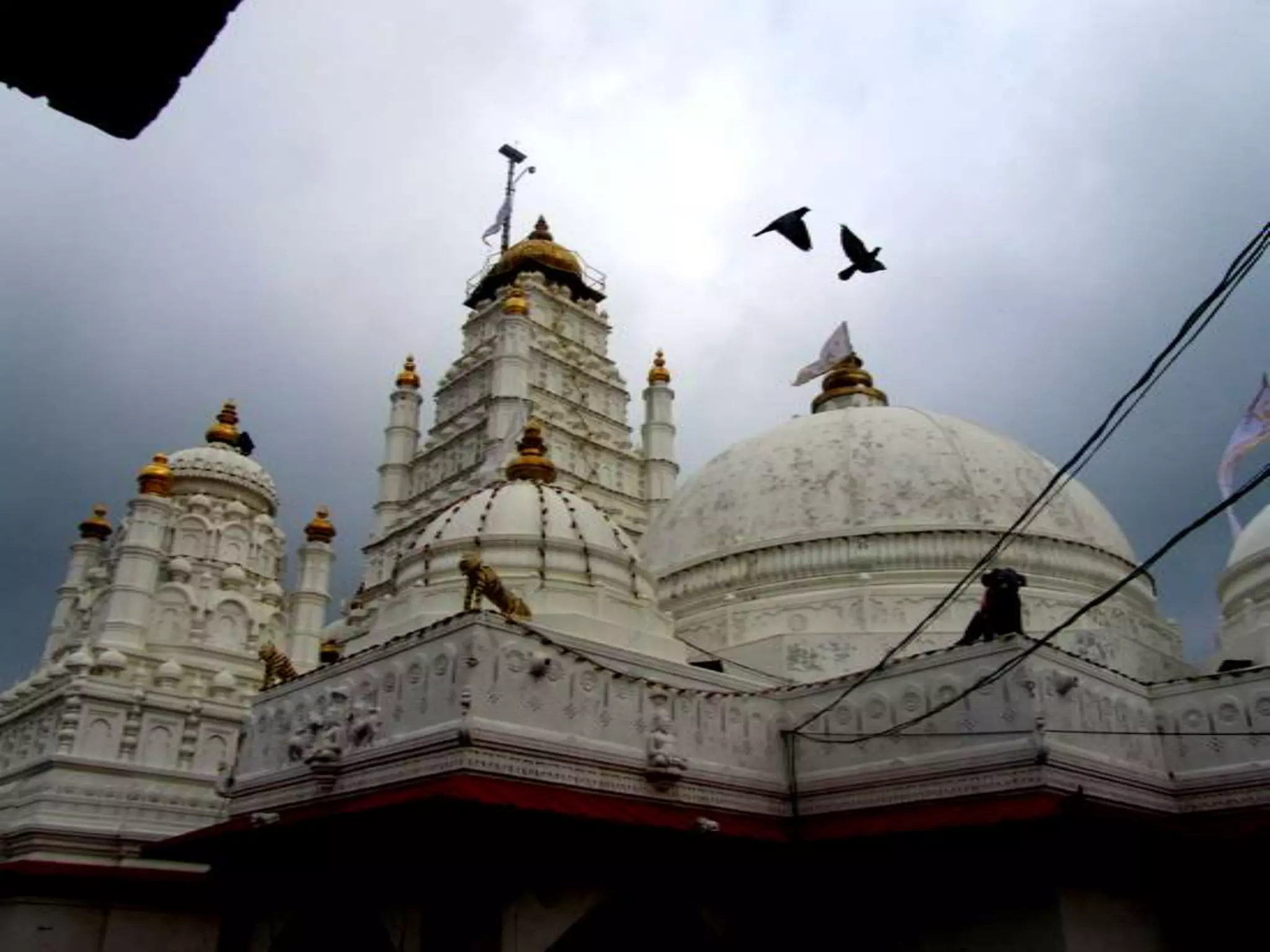 Dakor -Developing Projects | PPTX