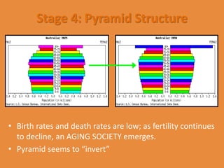 5 Demographic Transition model | PPT