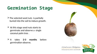 5-Different-Growth-Stages-of-Coconut.pptx