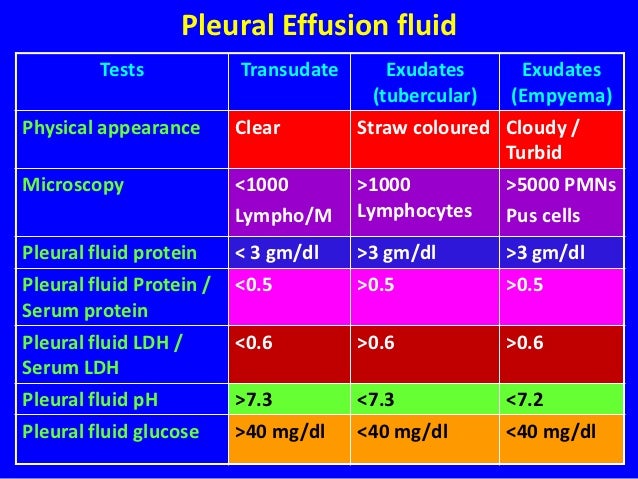 Proteinaceous Exudate
