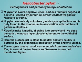 5-DISEASES OF THE STOMACH AND DUODENUM.ppt | Digestive Disorders ...