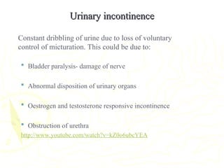 5-Disorders-of-Urinary-System.pptNephritis | PPT