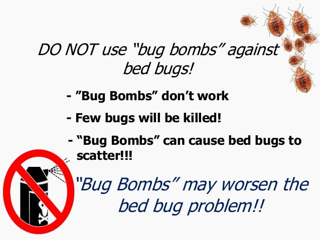 Diy Bed Bug Treatment Options