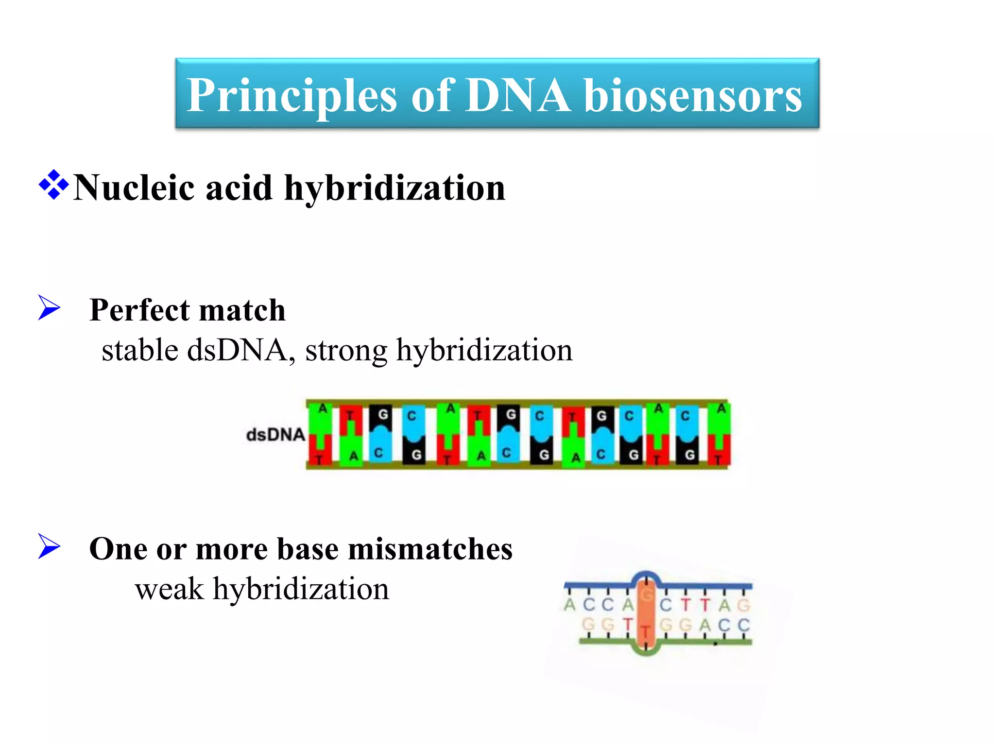 DNA-biosensors lecture 5 | PPTX